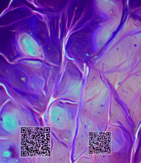 Single Cell Top Down Proteomics Northwestern Proteomics