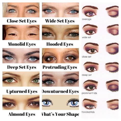 Types Of Eye Shapes Chart Free Printable Worksheet All For One