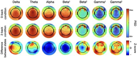 topographical maps of psd for seven frequency bands for the n back task
