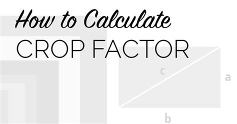 What Is Crop Factor And How Do You Calculate It