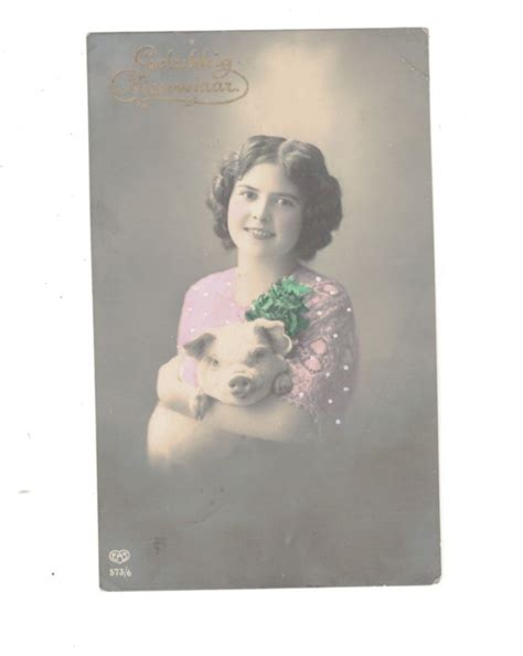 Posing Pig Cat Print Posing Pig