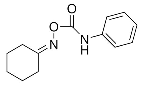 Cyclohexanone Oxime Sigma Aldrich