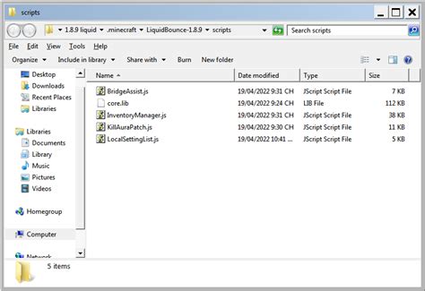 Scripts Cant Be Loaded Liquidbounce Forum