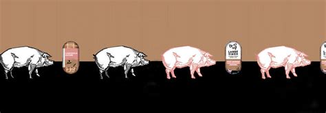 Cas Client Labbé Simon Par Mediapilote