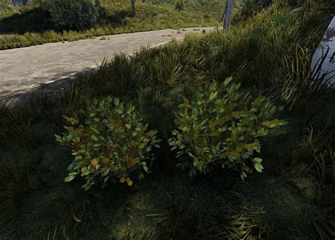 Rust Mixing Table And Tea Guide Recipes Berries And More