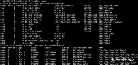Linux系统使用超详细 知乎
