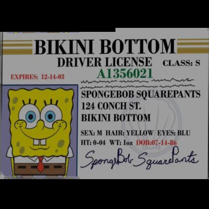 Spongebob Drivers License Roblox Item Rolimons