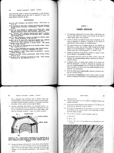 Anexo 1 Química De La Madera Pdf