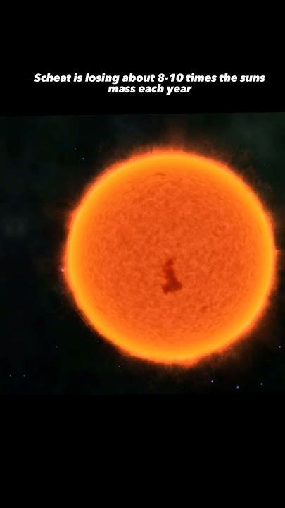 7 Fun Facts About Scheat Youtube