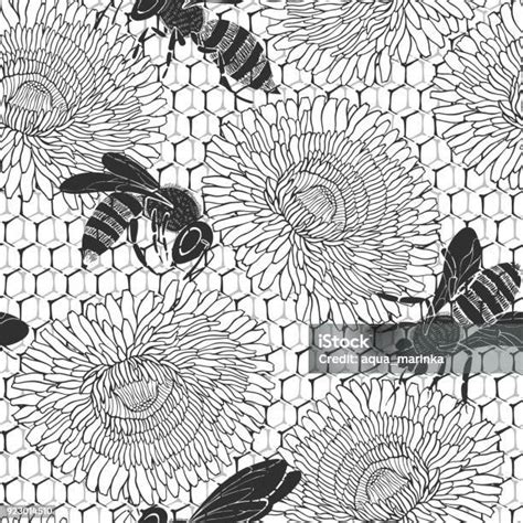 벌집 민들레와 흰색 바탕에 꿀벌입니다 완벽 한 패턴입니다 손으로 그린 벡터 일러스트입니다 자연 추상적인 배경입니다 꽃 식물에 대한 스톡 벡터 아트 및 기타 이미지 Istock