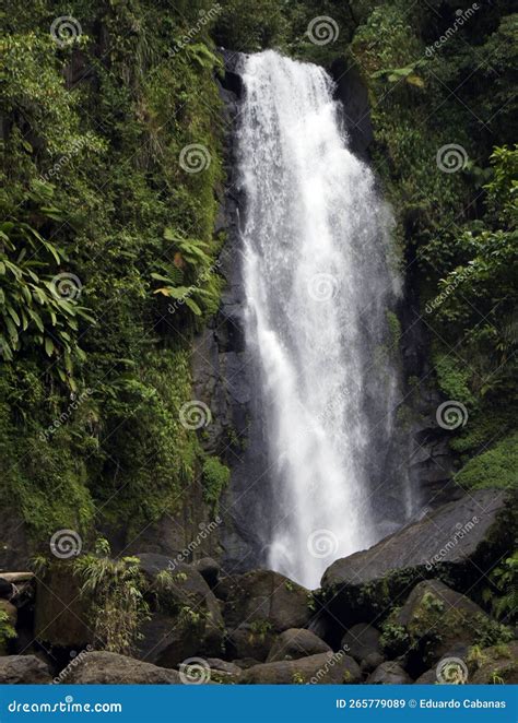 Trafalgar Falls Roseau Dominica Island Stock Image Image Of
