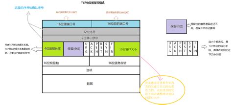 Tcp协议——这篇文章get全tcp协议get Csdn博客