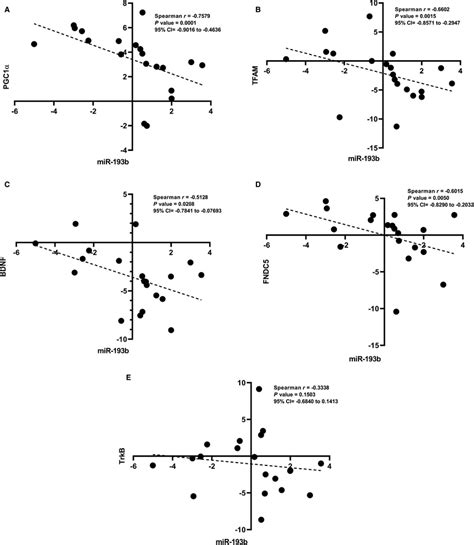 The Inverse Correlation Between The Increased Mir‐193b And The Download Scientific Diagram