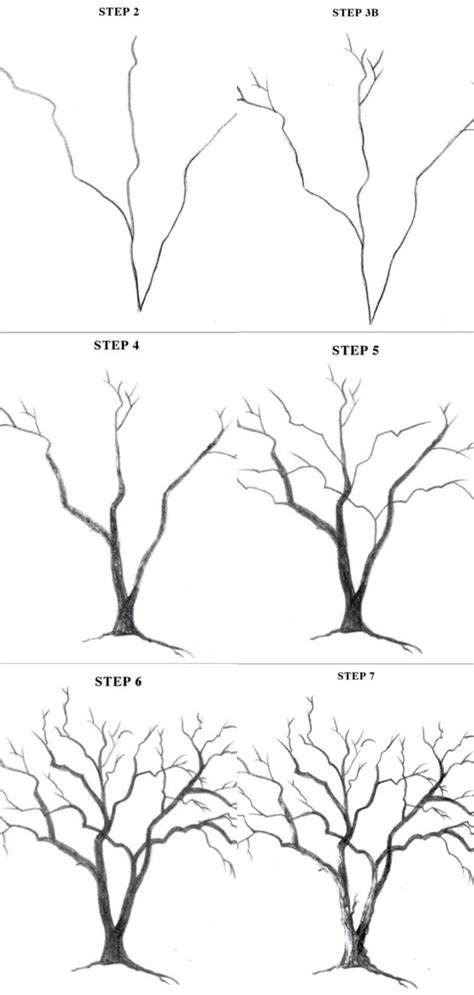 100 Beste Ideeën Over Bomen Tekenen Bomen Tekenen Tekenen Tekenen