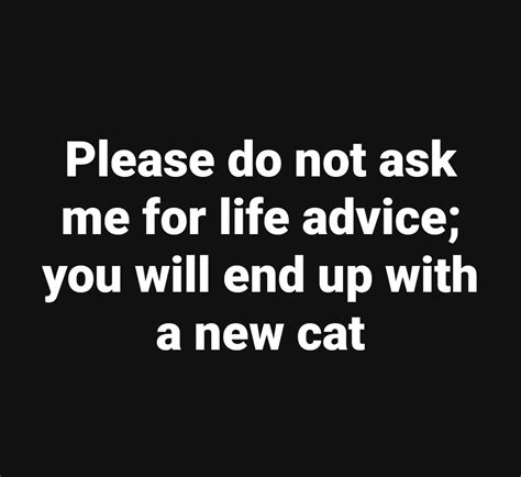 Kitty Connection Added A New Photo Kitty Connection