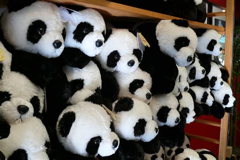 Stuffed Panda Toy At Wanda Hatton Blog