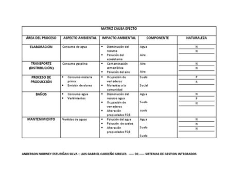 Matriz Causa Efecto Pdf