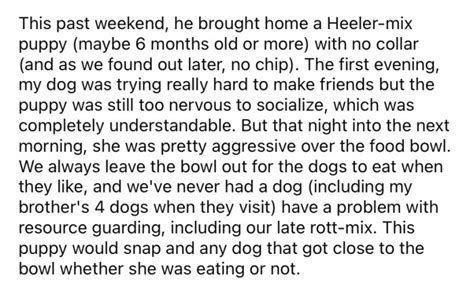 Father Gives Daughter The Silent Treatment After She Takes The Puppy He