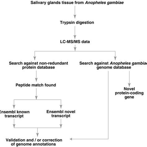 A Workflow Depicting The Steps Involved In Mass Spectrometry Data