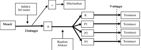 Bab 4 Metode Penelitian Randomized Post Test Only Control Group Design