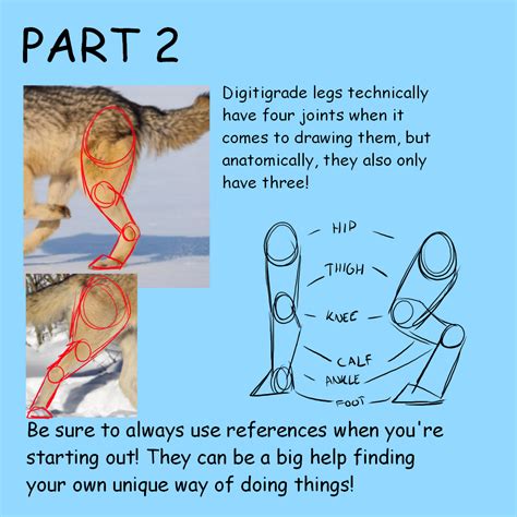 Digitigrade On Tumblr