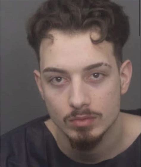 Macomb County Scanner Robert Paljusevic Born January 13 2004 Has Been Arraigned On Charges