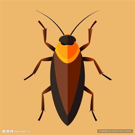 矢量蟑螂插图设计图昆虫生物世界设计图库昵图网