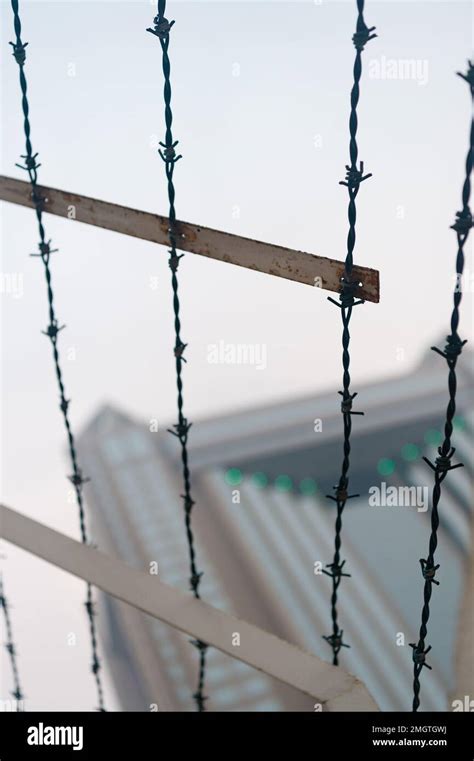 Strand Structure Of Twisted Metal Barbwire Barbed Wire Structure With Sharp Barbs Outdoors Stock