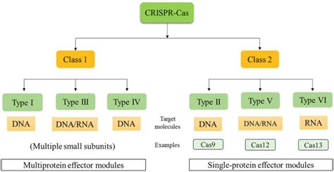 Gene Editing To Ensure Food Supply Under Global Warming Springerlink