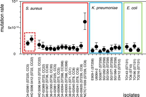 Spontaneous Mutation Rates For Bacterial Isolates From Three Species