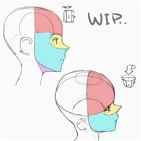 Sean K 在 Instagram 上发布：“quick Update On Making My Head Angle Sheet I