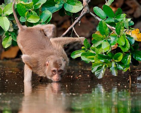 Imxcutemodels Photos Download The Best Free Imxcutemodels Stock