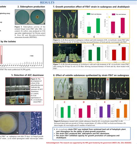 Phosphate Solubilization Plate Assay Supplemented By Calcium Phosphate Download Scientific