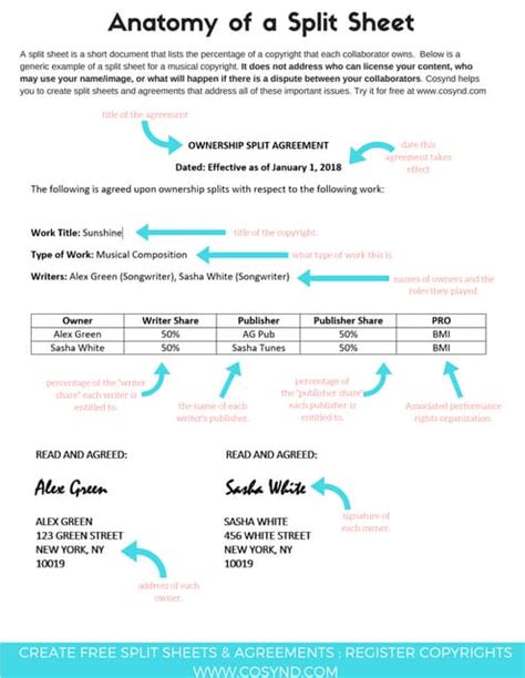 Anatomy Of A Split Sheet Pdf Business And Finance