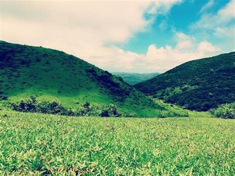 The Never Ending Grass Smithsonian Photo Contest Smithsonian Magazine