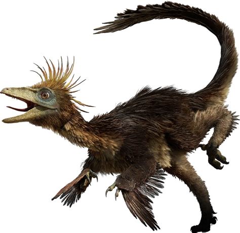 Troodon Facts Habitat Images Adaptation And Behavior