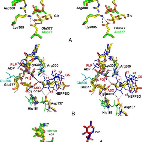 A Diagram Of Heppso And Atom Numbering Used In This Paper B Overall