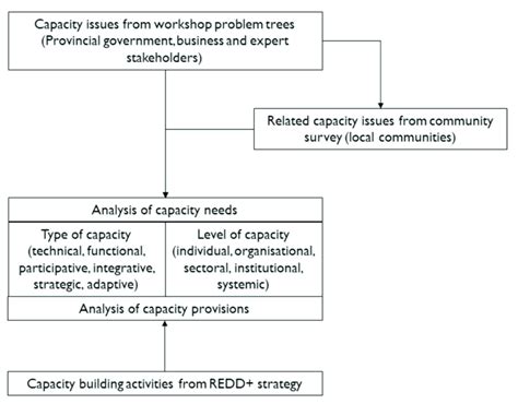 Analytical Framework For Comparing Capacity Needs Identified By