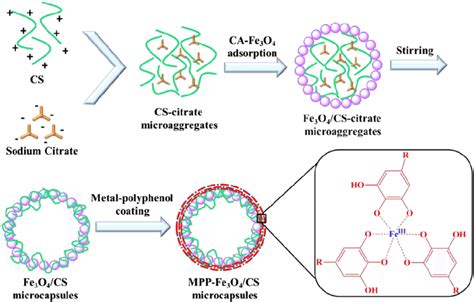 Schematic Representation Of The Synthesis Process To Produce Fe 3 O 4 Download Scientific