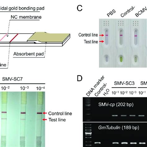 Development Sensitivity And Specificity Test And Field Application Of Download Scientific