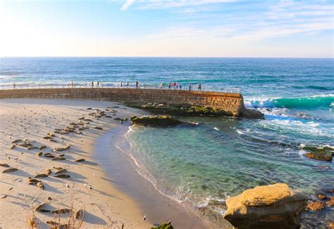 La Jolla Cove Fun Things To Do Beach Directions Parking A Locals