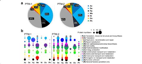 Correlation Between Ptm Types And Functional Categories A Percentages