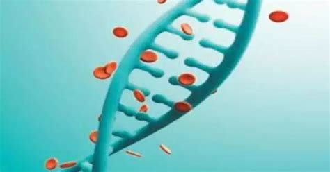 Scientists Discover An Unexpected Link Between Number Theory And