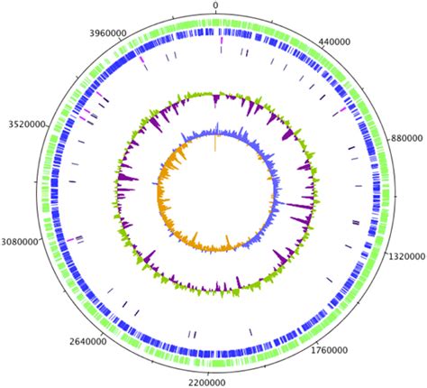 Figure A1 Circular Representation Of The C Sakazakii Sp291 Genome