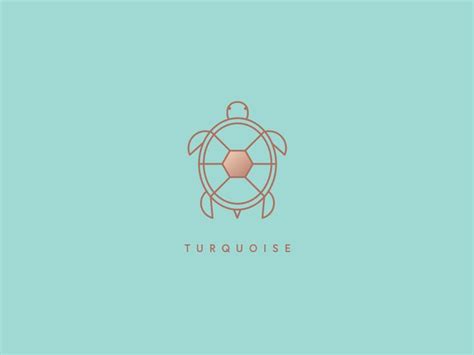Turquoise Logo Turquoise Logo Web Design Typography Turquoise