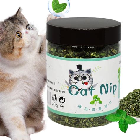 Ishine Catnip For Cats Safe And Non Addictive Catnip Treats Interactive Calming Entertainment