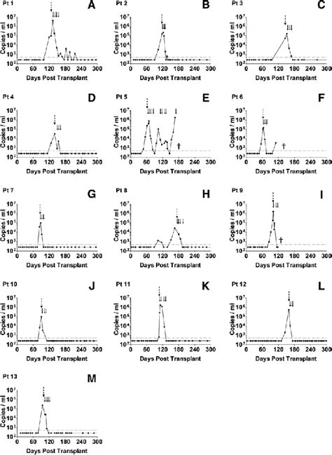 Serial Analysis Of Ebv Loads In Patients With High Level Ebv Download Scientific Diagram