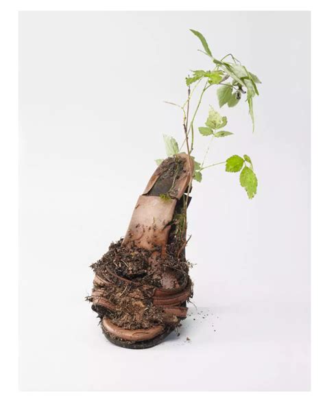 Wanda Wulz 19031984 Art By Women Women In Arts Palianshow