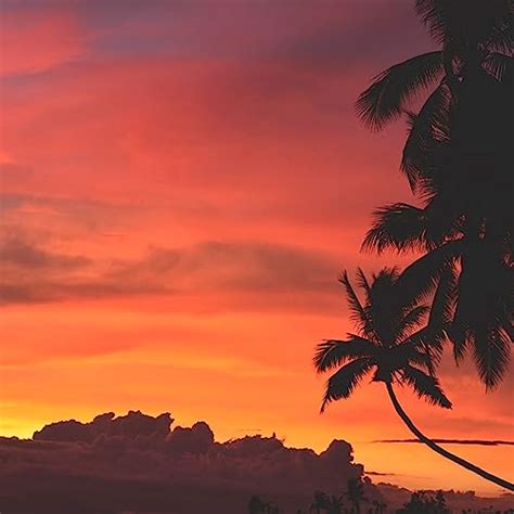 Needel Die 15 Besten Produkte Im Vergleich Die Besten Angel Tipps