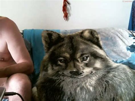 Free Hairy Daddy Porn Videos Xhamster